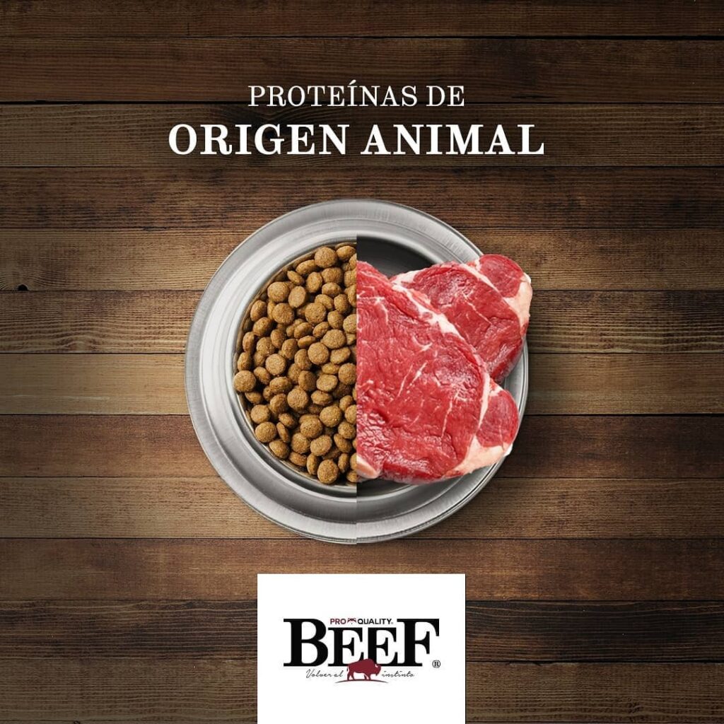 Alimentos balanceado – distribuidorafelixfrias.com